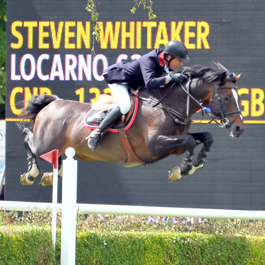 Stallions at Stud | Steven & Joe Whitaker Show Jumping