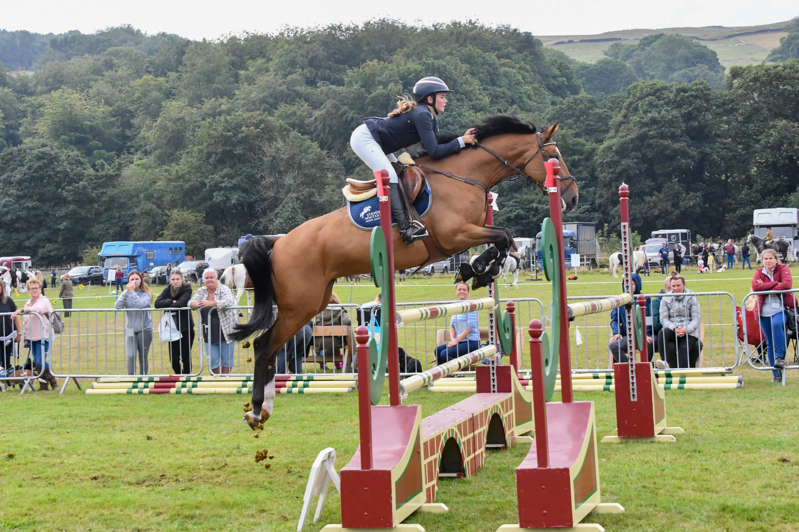 Gene Genie | Steven & Joe Whitaker Show Jumping